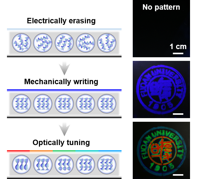 Adv. Optical Mater., 2022, 10(5), 2102108