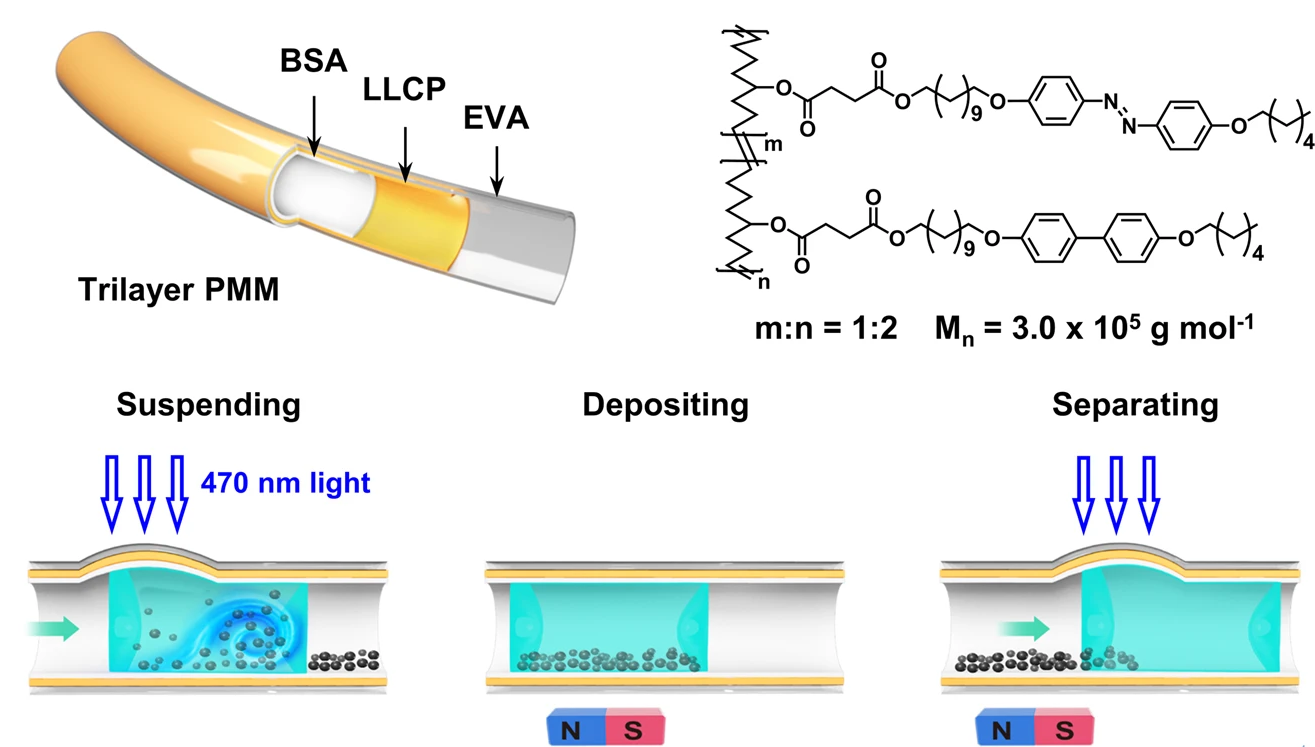 NPG Asia Materials, 2022, 14, 73
