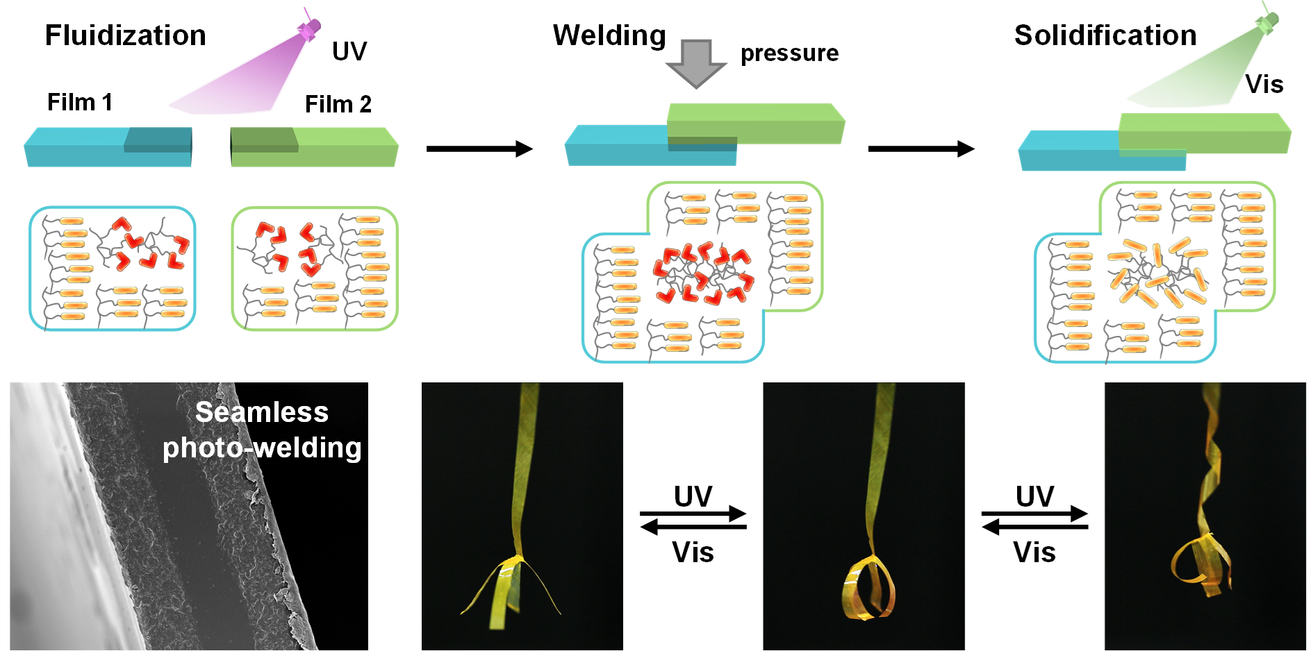 Soft Matter, 2023, 19, 999-1007