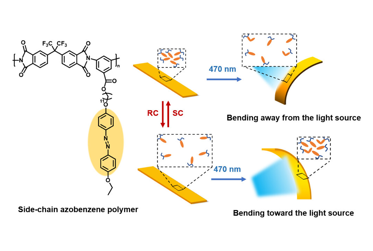 ACS Appl. Polym. Mater., 2024, 6, 12261−12268