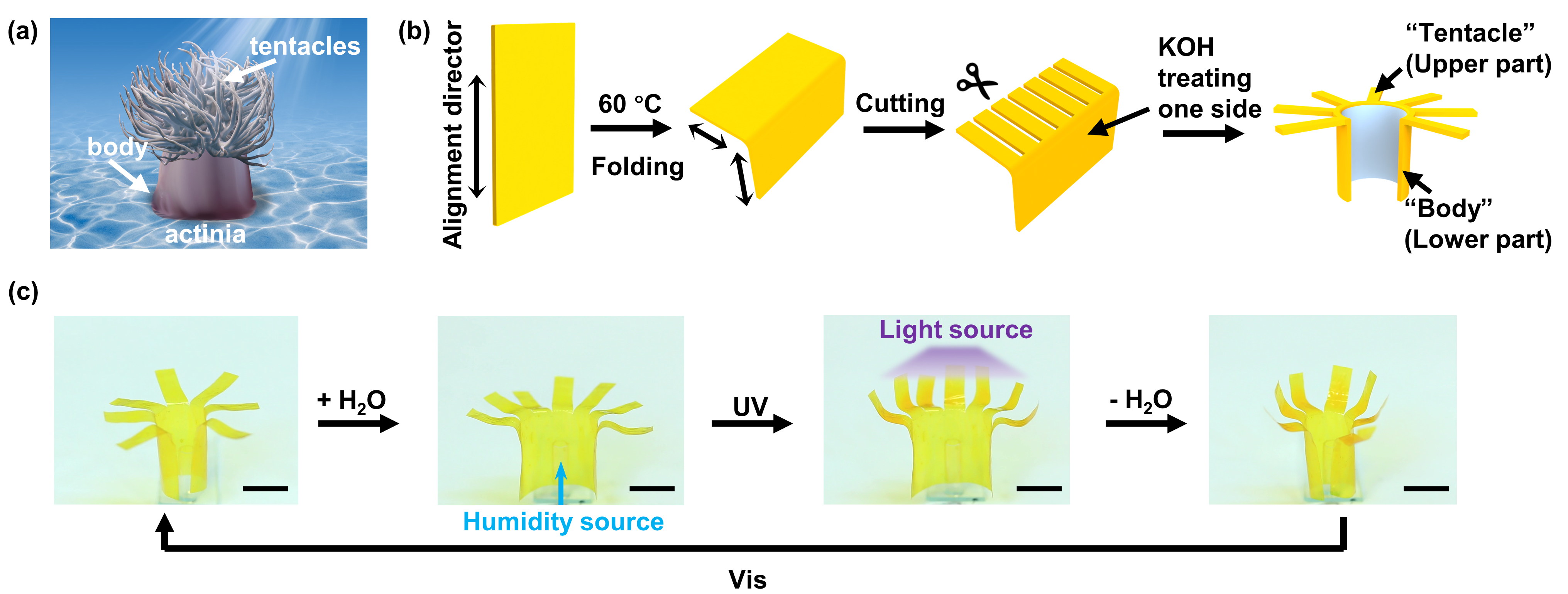 Angew. Chem. Int. Ed., 2023, 62(21), e202300699