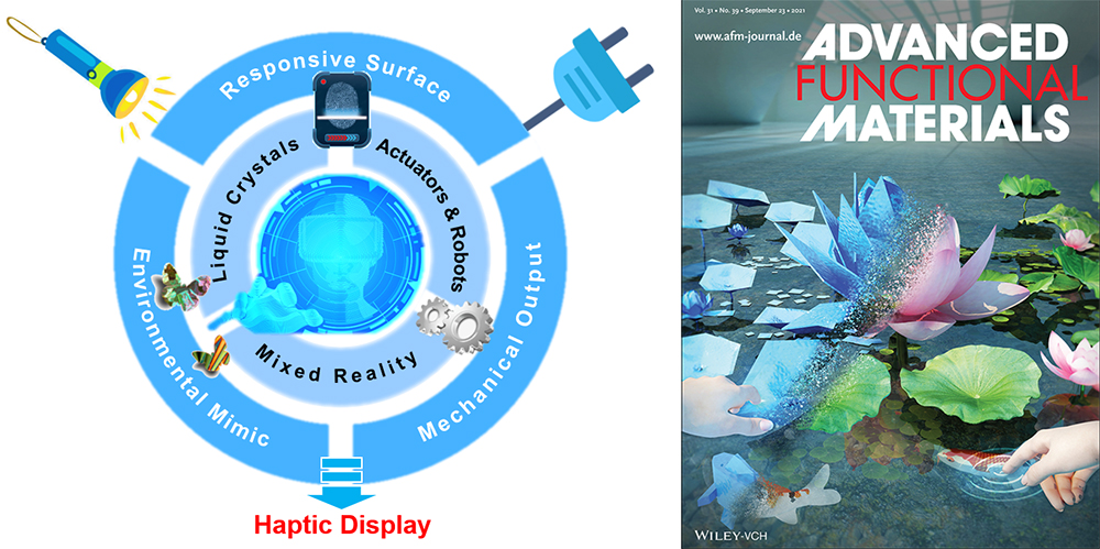 Adv. Funct. Mater., 2021, 31(39), 2009835 (Back Cover)